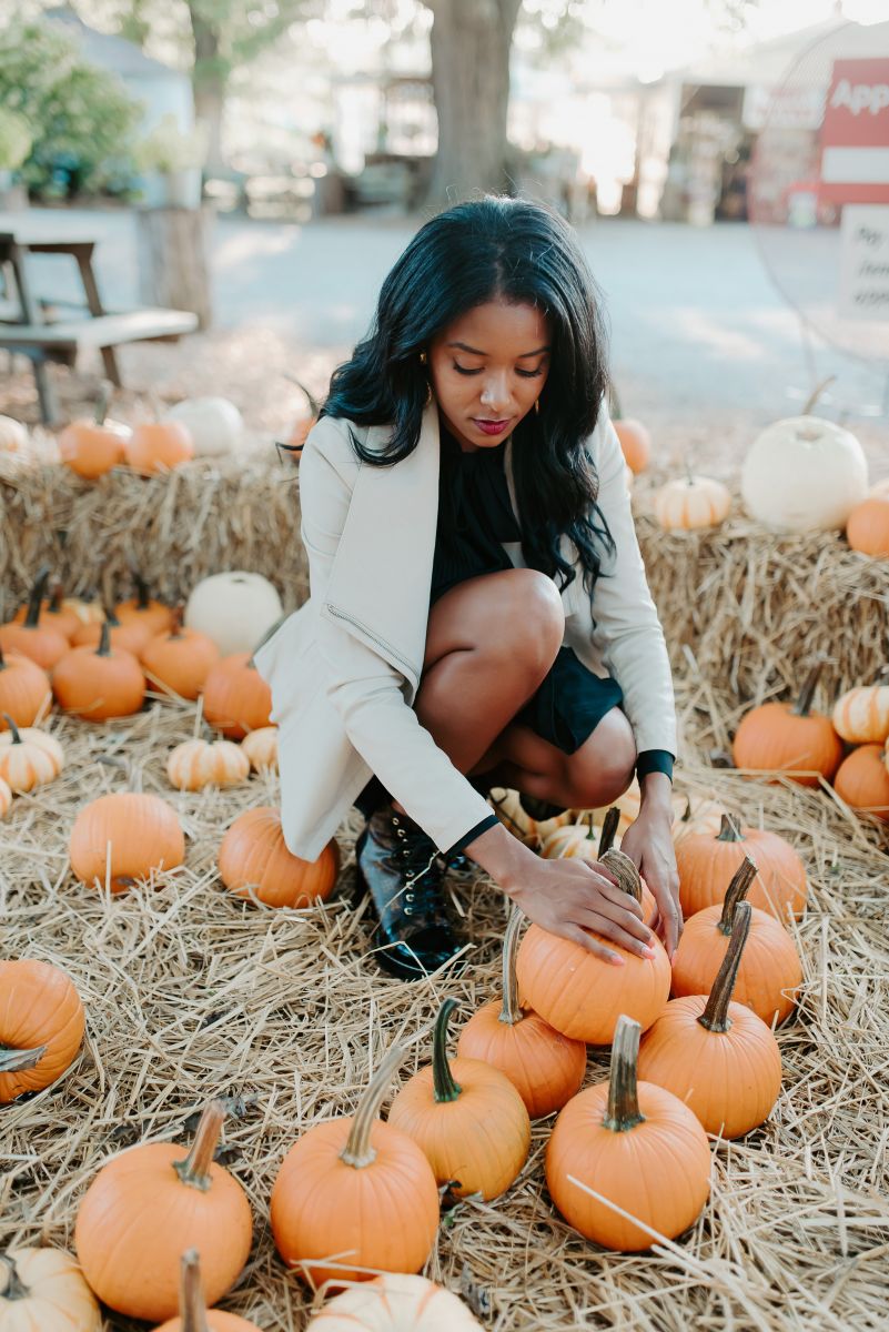 5 South Carolina Pumpkin Patches You Should Make a Tradition - Shades ...