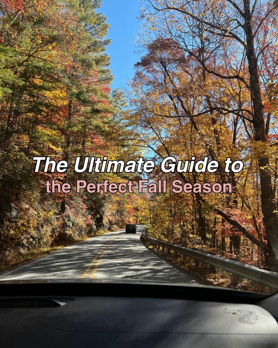 The Ultimate Guide to the Perfect Fall: Fall Foliages - Shades of Pinck